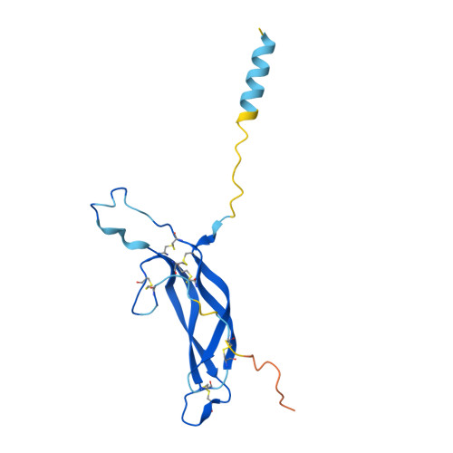 RCSB PDB - AF_AFP01229F1: Computed structure model of Lutropin subunit beta