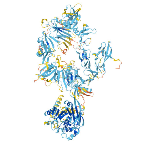 RCSB PDB - AF_AFP01266F7: Computed structure model of Thyroglobulin