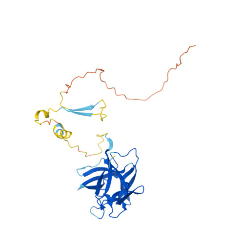RCSB PDB - AF_AFP01584F1: Computed structure model of Interleukin-1 beta