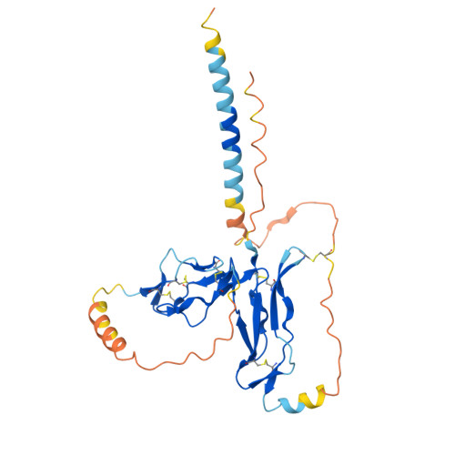 RCSB PDB - AF_AFP01590F1: Computed structure model of Interleukin-2 ...