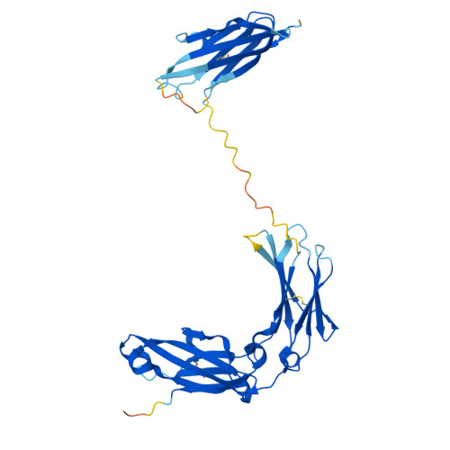 RCSB PDB - AF_AFP01863F1: Computed structure model of Ig gamma-2A chain ...