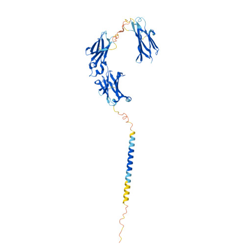 RCSB PDB - AF_AFP01865F1: Computed structure model of Ig gamma-2A chain ...