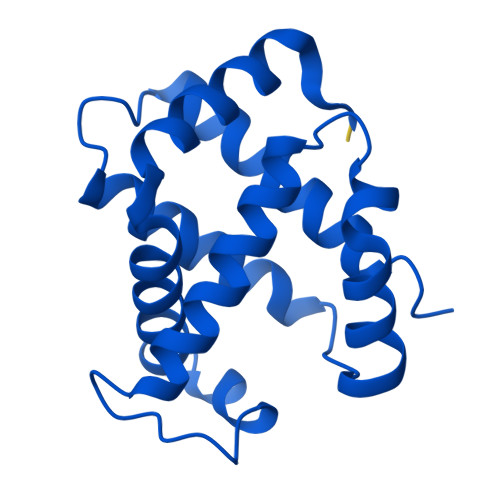 RCSB PDB - AF_AFP01958F1: Computed structure model of Hemoglobin ...
