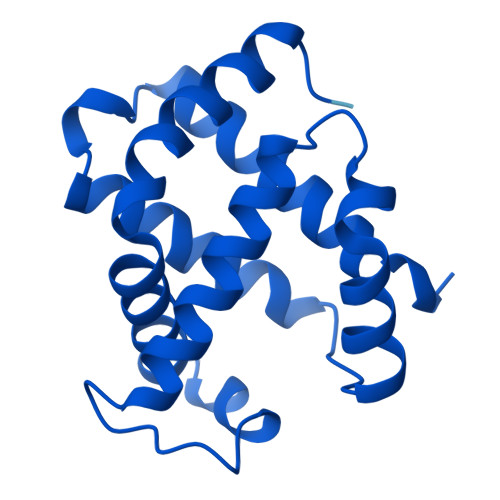RCSB PDB - AF_AFP01998F1: Computed structure model of Hemoglobin ...