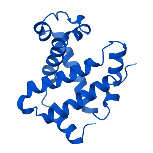 RCSB PDB - AF_AFP02074F1: Computed structure model of Hemoglobin ...