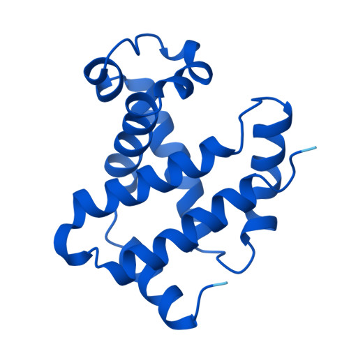 RCSB PDB - AF_AFP02075F1: Computed structure model of Hemoglobin ...