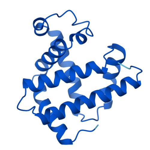 RCSB PDB - AF_AFP02184F1: Computed structure model of Myoglobin