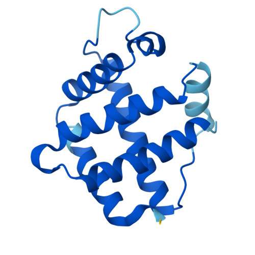 RCSB PDB - AF_AFP02232F1: Computed structure model of Leghemoglobin-1