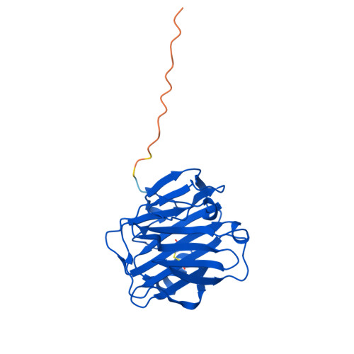 RCSB PDB - AF_AFP02741F1: Computed structure model of C-reactive protein