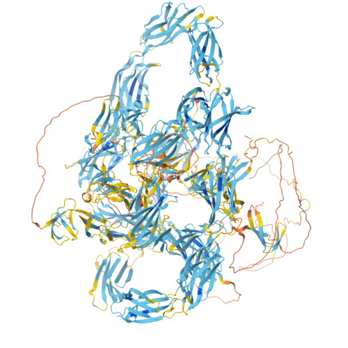 RCSB PDB - AF_AFP02751F1: Computed structure model of Fibronectin
