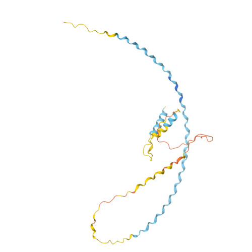 RCSB PDB - AF_AFP02817F1: Computed structure model of Amelogenin, X isoform