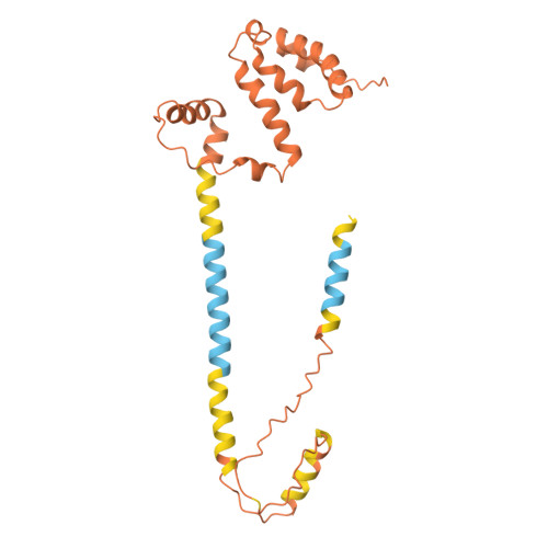 RCSB PDB - AF_AFP02859F1: Computed structure model of Zein-alpha A30