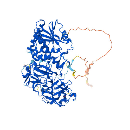 RCSB PDB - AF_AFP02879F1: Computed structure model of Ricin