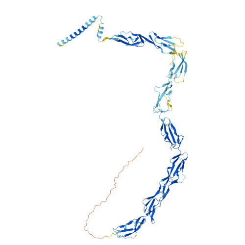 RCSB PDB - AF_AFP04003F1: Computed structure model of C4b-binding ...