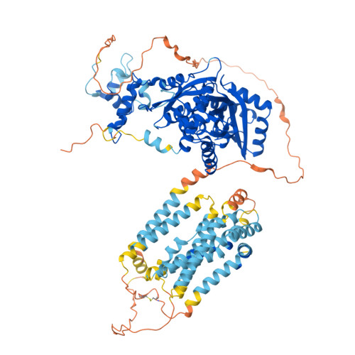 RCSB PDB - AF_AFP04035F1: Computed structure model of 3-hydroxy-3 ...