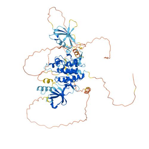 RCSB PDB - AF_AFP04049F1: Computed structure model of RAF proto ...