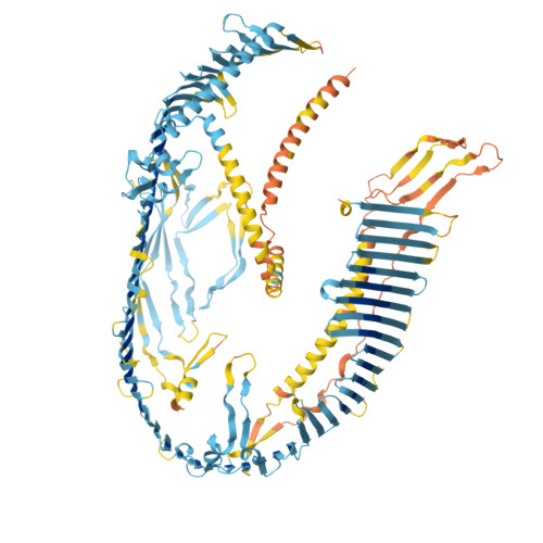 RCSB PDB - AF_AFP04114F15: Computed structure model of Apolipoprotein B-100