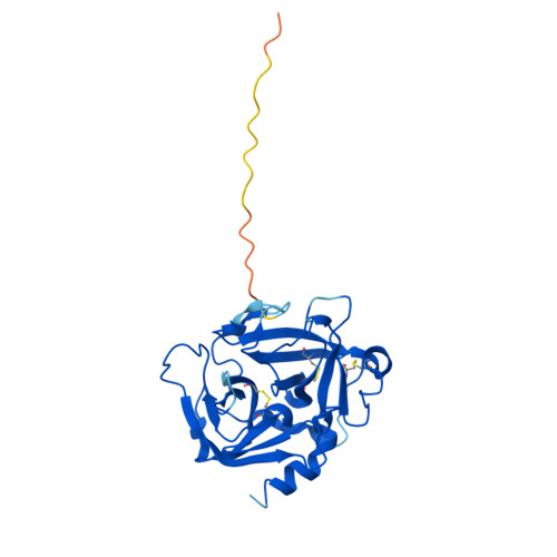 RCSB PDB - AF_AFP04187F1: Computed structure model of Granzyme B(G,H)