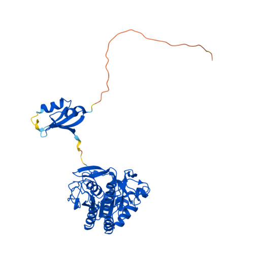 RCSB PDB - AF_AFP04189F1: Computed structure model of Subtilisin E
