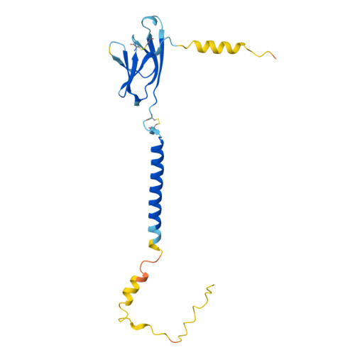 RCSB PDB - AF_AFP04234F1: Computed structure model of T-cell surface ...