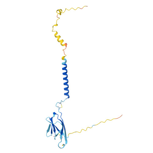 RCSB PDB - AF_AFP04235F1: Computed structure model of T-cell surface ...