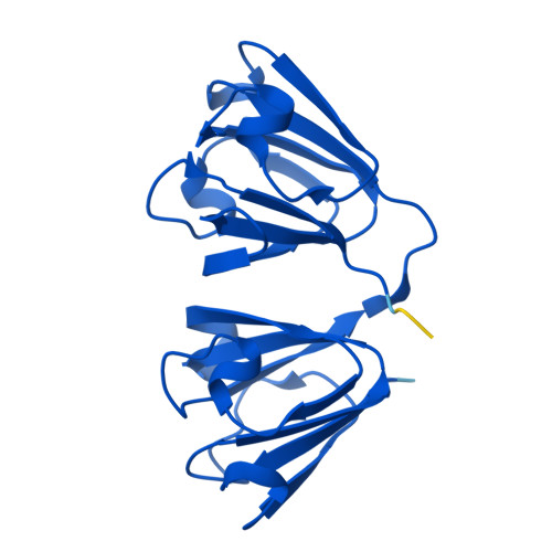 RCSB PDB - AF_AFP04345F1: Computed structure model of Gamma-crystallin A