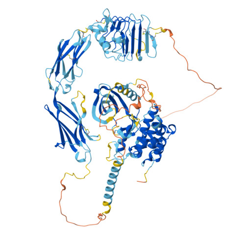 RCSB PDB - AF_AFP04629F1: Computed structure model of High affinity ...