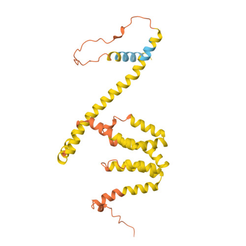 RCSB PDB - AF_AFP04698F1: Computed structure model of 22 kDa alpha-zein 14
