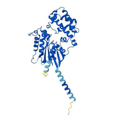 RCSB PDB - AF_AFP04899F1: Computed structure model of Guanine ...