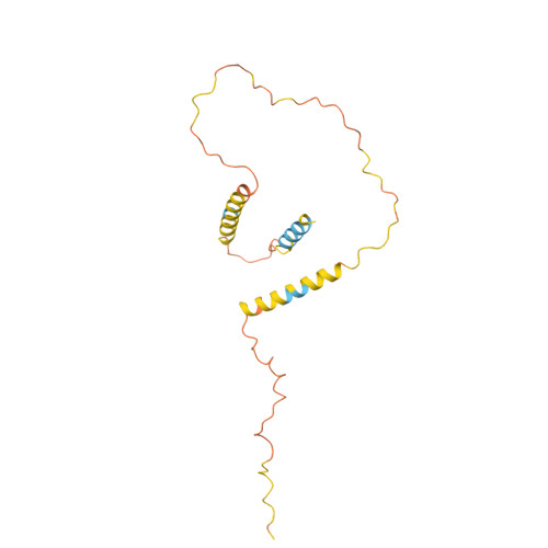 RCSB PDB - AF_AFP05224F1: Computed structure model of Preprocaerulein ...