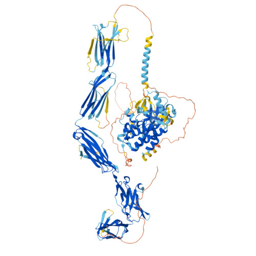 RCSB PDB - AF_AFP05532F1: Computed structure model of Mast/stem cell ...