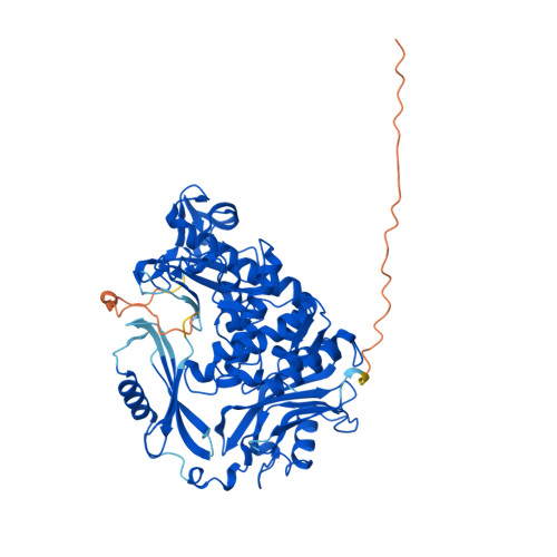 RCSB PDB - AF_AFP05806F1: Computed structure model of Bacillolysin