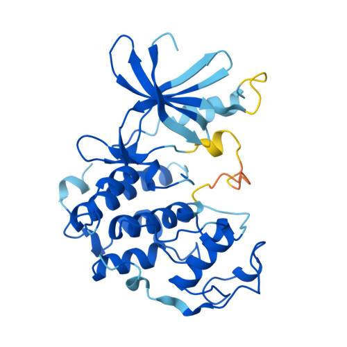 RCSB PDB - AF_AFP06493F1: Computed structure model of Cyclin-dependent ...