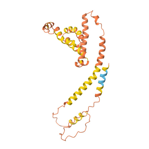 RCSB PDB - AF_AFP06677F1: Computed structure model of 19 kDa alpha-zein ...