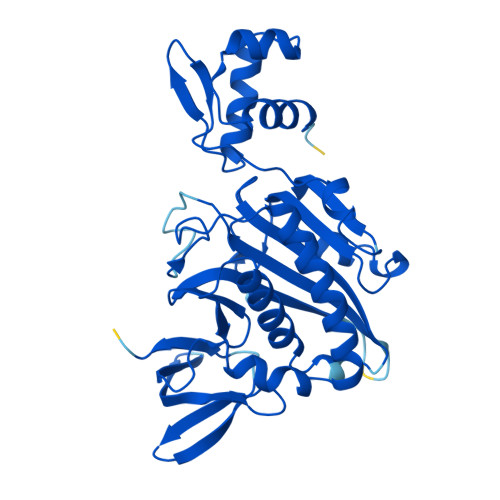 RCSB PDB - AF_AFP06709F1: Computed structure model of Bifunctional ...