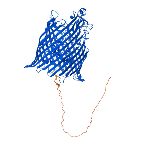 RCSB PDB - AF_AFP06971F1: Computed structure model of Ferrichrome outer ...