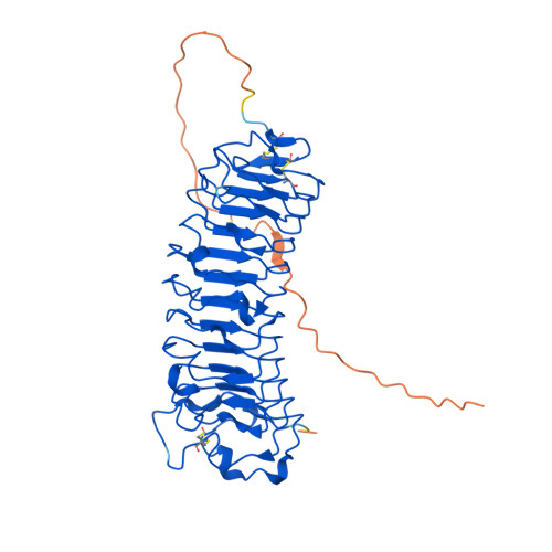 RCSB PDB - AF_AFP07585F1: Computed structure model of Decorin