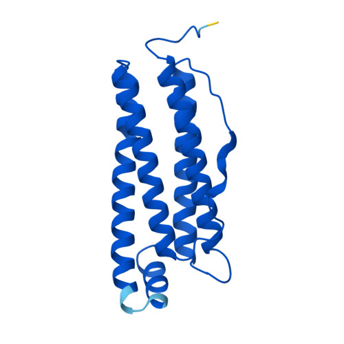 RCSB PDB - AF_AFP07797F1: Computed structure model of Ferritin, lower ...