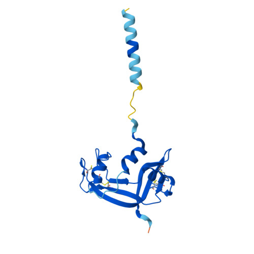 RCSB PDB - AF_AFP07998F1: Computed structure model of Ribonuclease ...