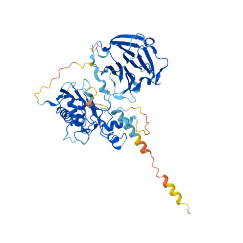 RCSB PDB - AF_AFP08254F1: Computed structure model of Stromelysin-1