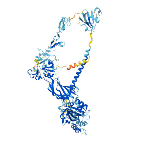RCSB PDB - AF_AFP09055F1: Computed structure model of Integrin beta-1