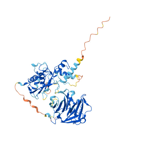 RCSB PDB - AF_AFP09238F1: Computed structure model of Stromelysin-2