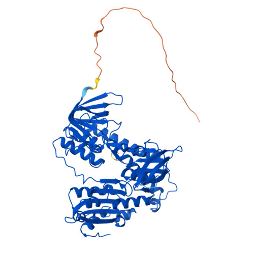 RCSB PDB - AF_AFP09623F1: Computed structure model of Dihydrolipoyl ...
