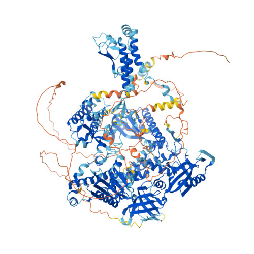 RCSB PDB - AF_AFP09884F1: Computed structure model of DNA polymerase ...