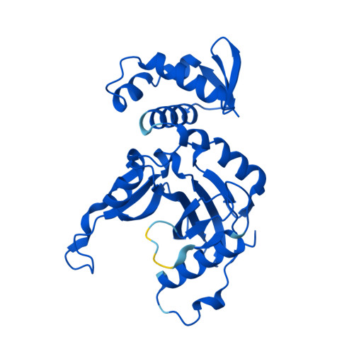 RCSB PDB - AF_AFP0A460F1: Computed structure model of Type-2 ...