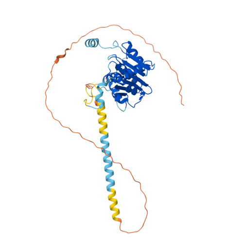 RCSB PDB - AF_AFP0A9K2F1: Computed structure model of Protein PhoH