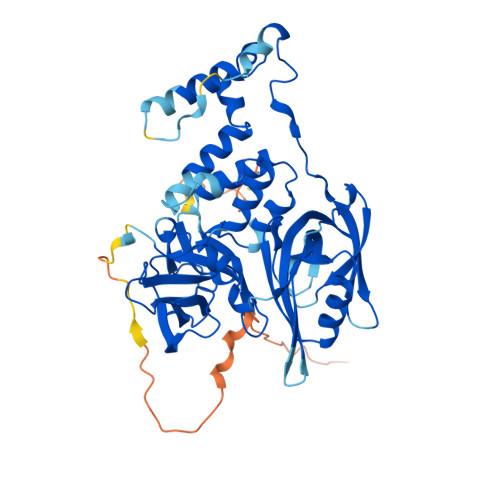 RCSB PDB - AF_AFP0CF65F1: Computed structure model of Protein cereblon