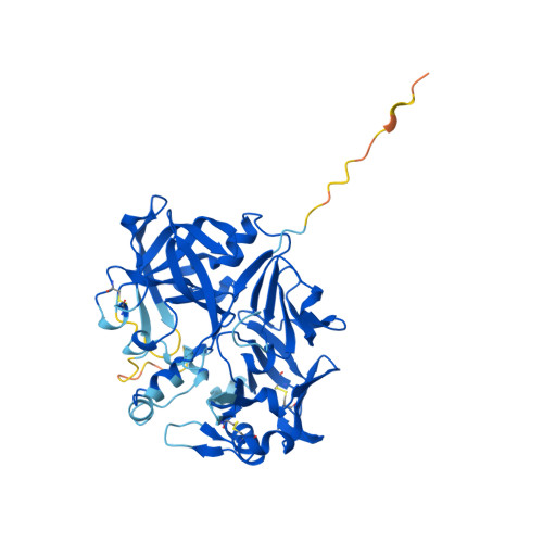 RCSB PDB - AF_AFP0DJD7F1: Computed structure model of Pepsin A-4