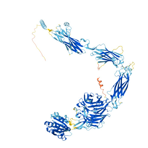 RCSB PDB - AF_AFP11215F1: Computed structure model of Integrin alpha-M