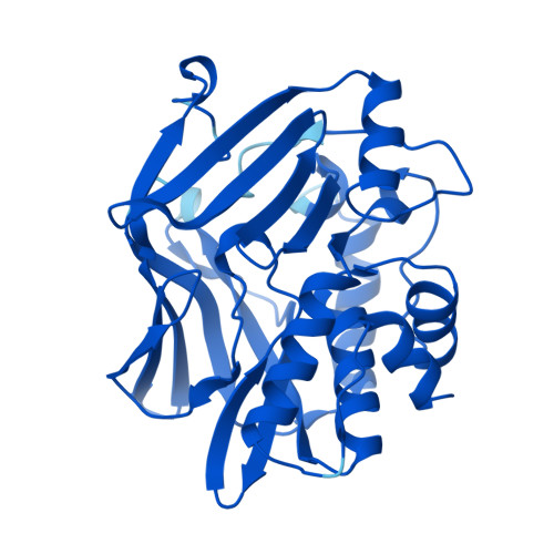 RCSB PDB - AF_AFP11245F1: Computed structure model of Arylamine N ...